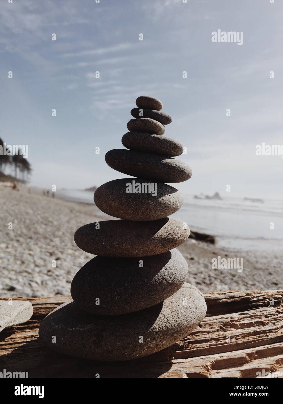 Ruby Beach Driftwood High Resolution Stock Photography and Images - Alamy