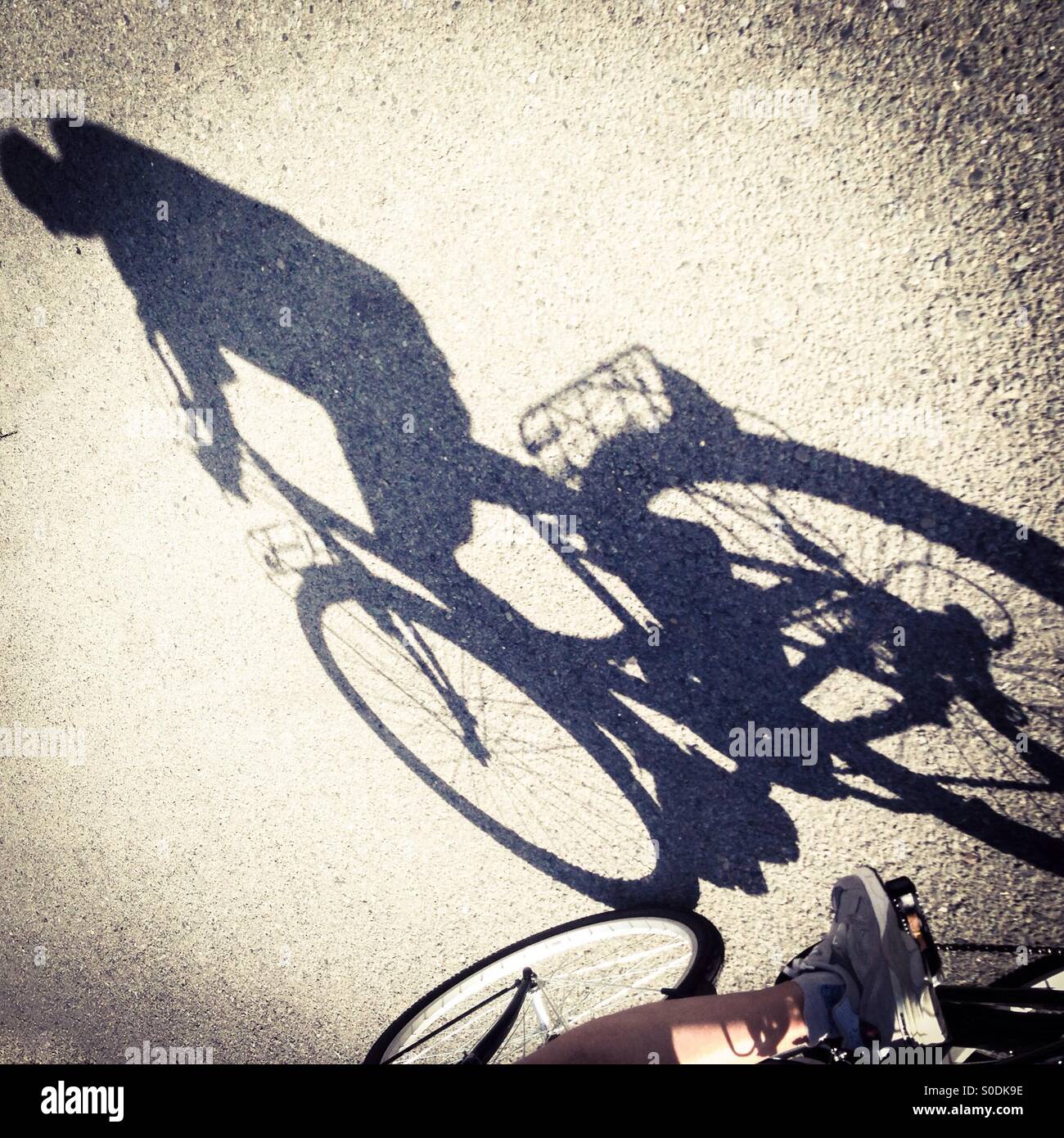 Shadow of man on a bike Stock Photo - Alamy