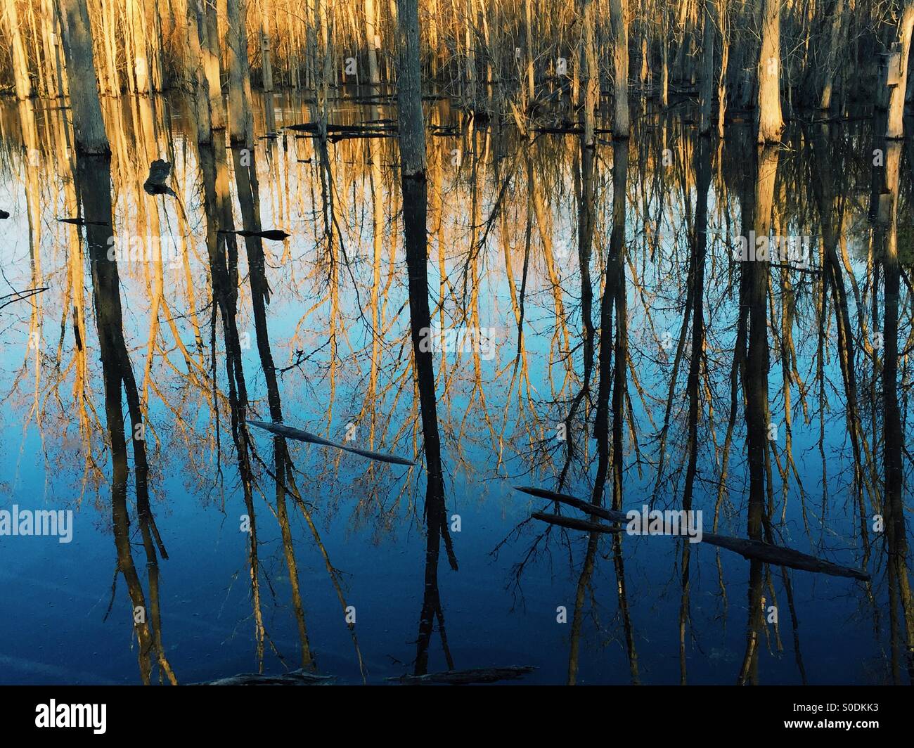 Pure ponds hi-res stock photography and images - Alamy