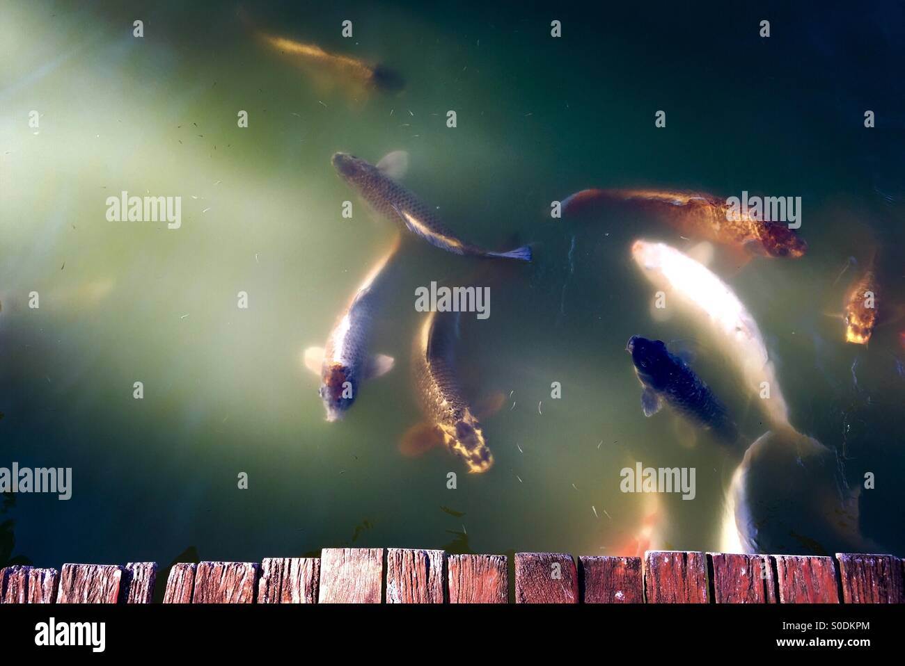 Fish dock black and white hi-res stock photography and images - Alamy