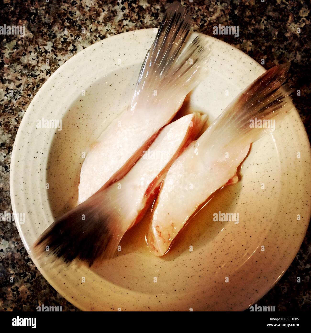 Freshly cut salmon fins in a bowl on a kitchen counter Stock Photo - Alamy