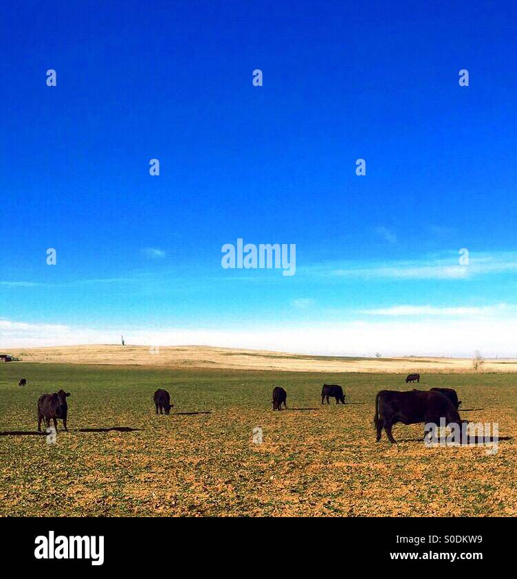 Farms in oklahoma hi-res stock photography and images - Alamy