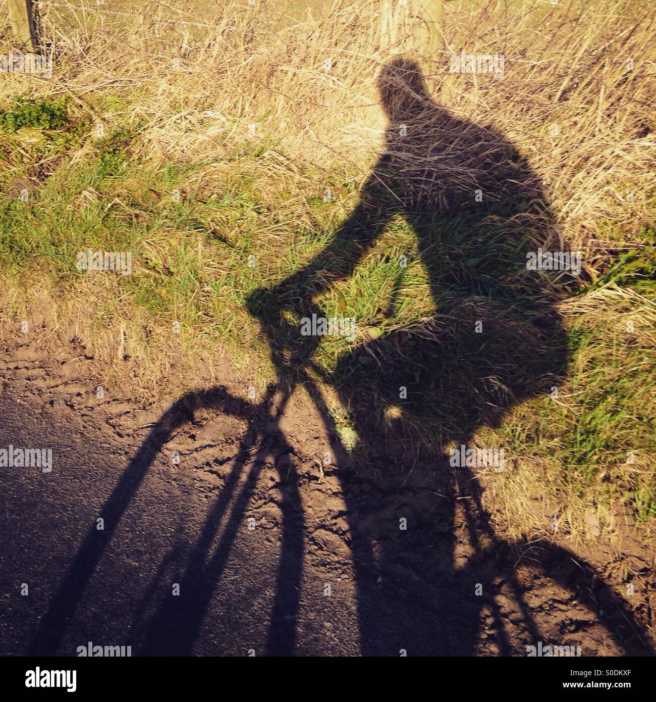 Shadow road hi-res stock photography and images - Alamy