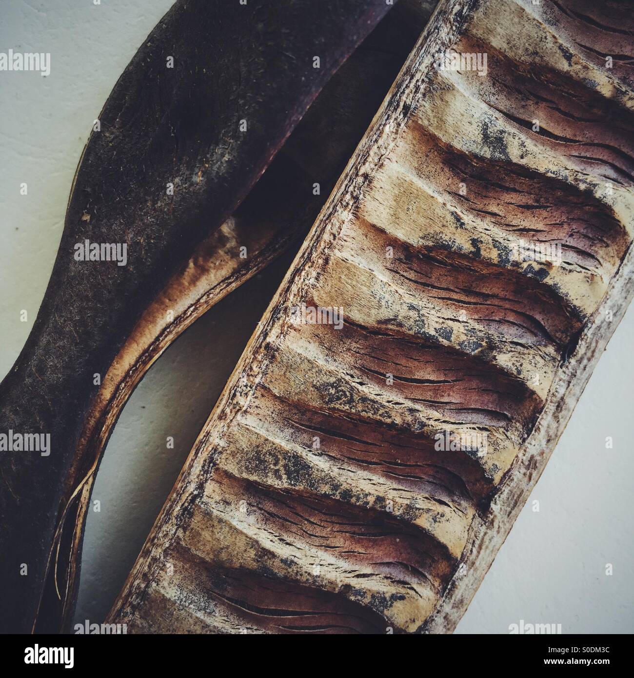 Seed Case High Resolution Stock Photography and Images - Alamy