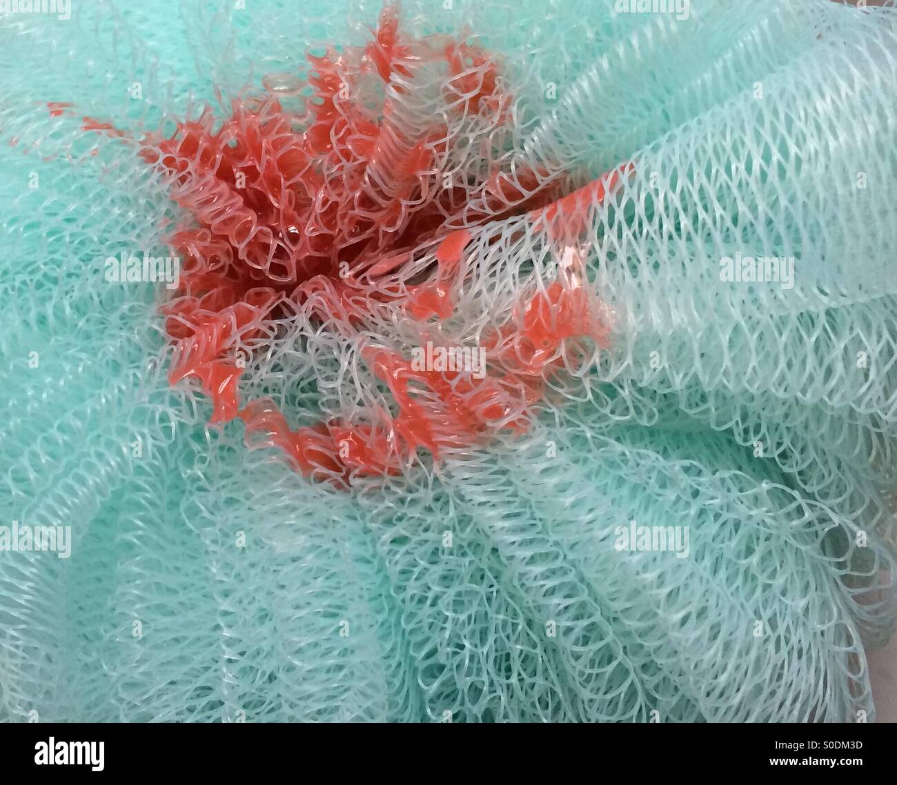 Shower gel and sponge hi-res stock photography and images - Alamy