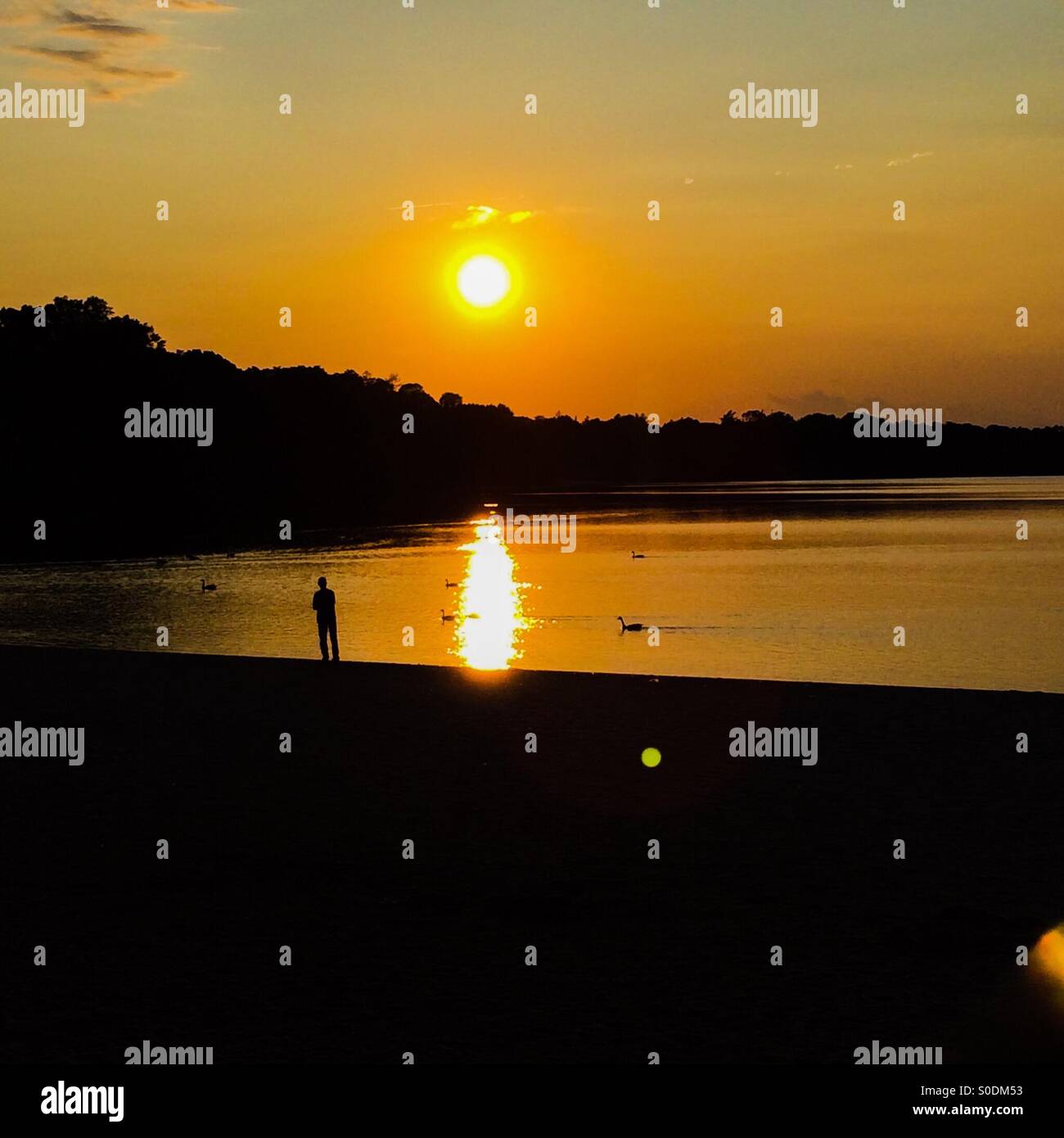 Person fishing hi-res stock photography and images - Alamy