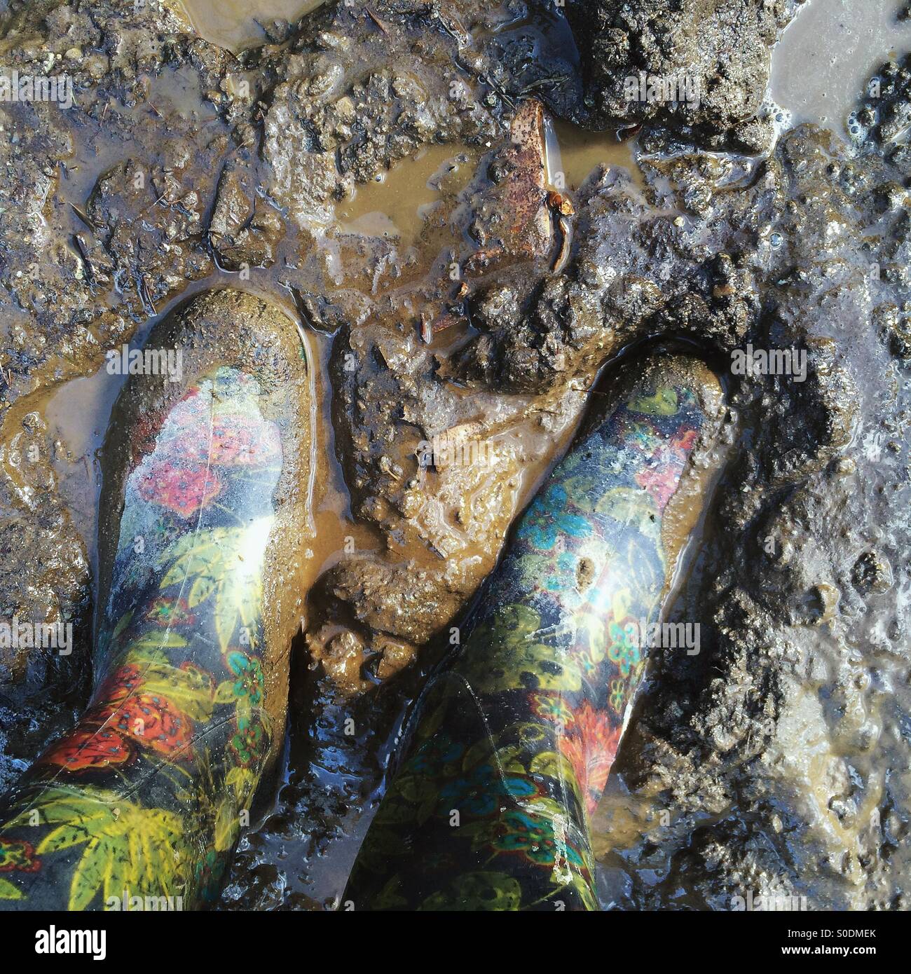 Quicksand hi-res stock photography and images - Alamy