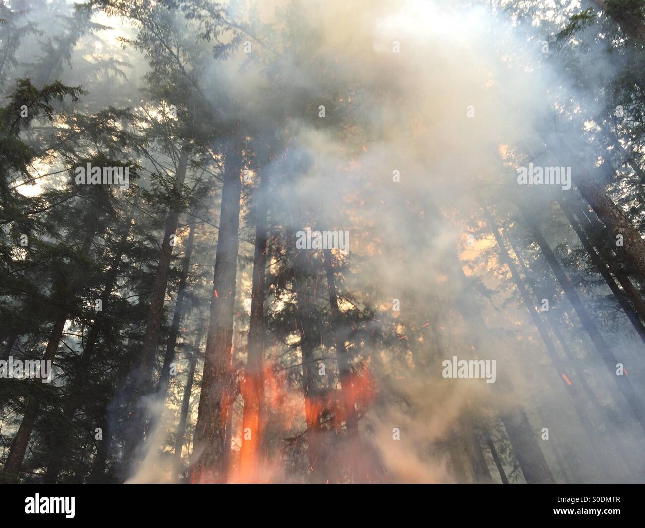 Fire season hi-res stock photography and images - Alamy