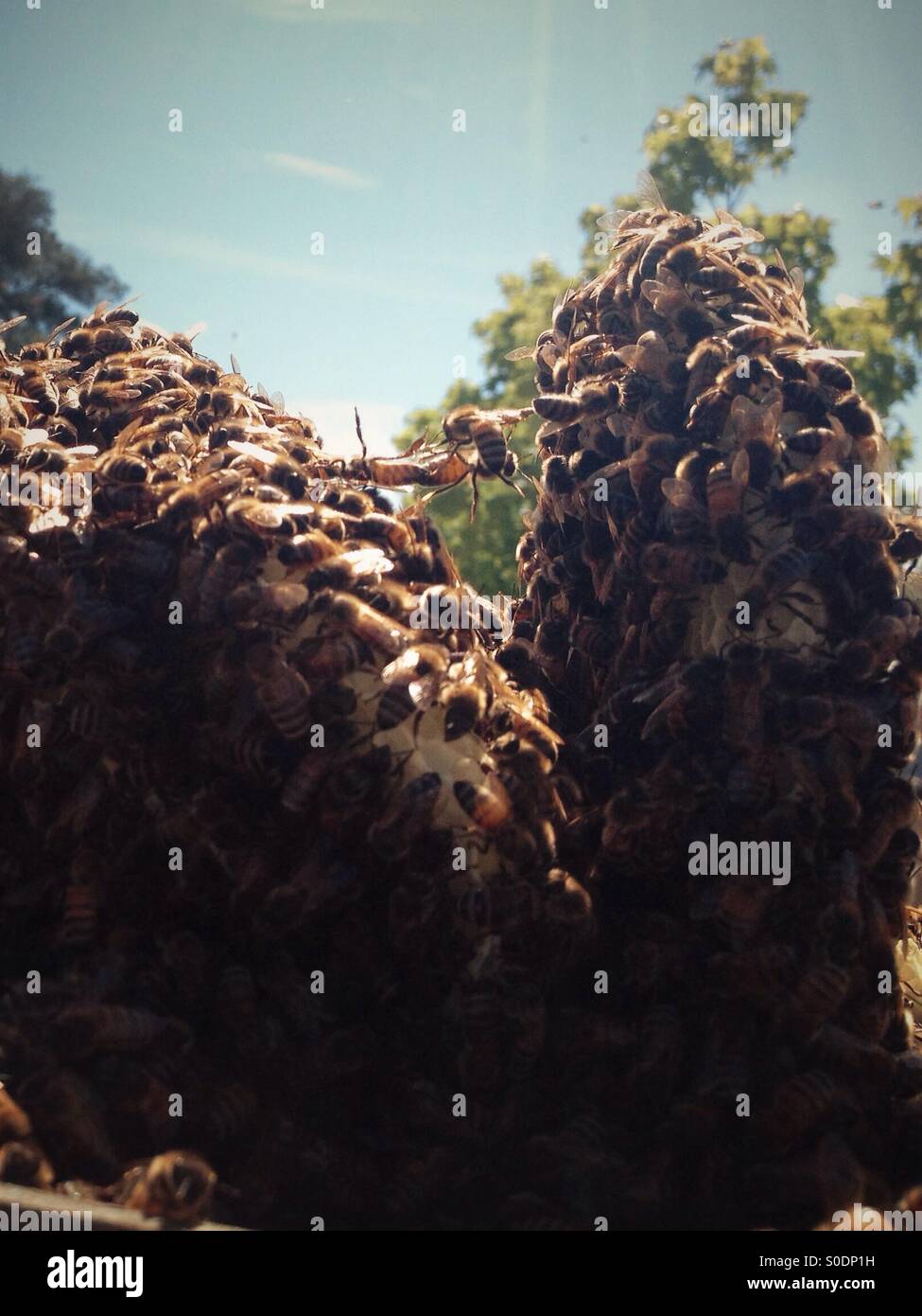 Festooning hi-res stock photography and images - Alamy