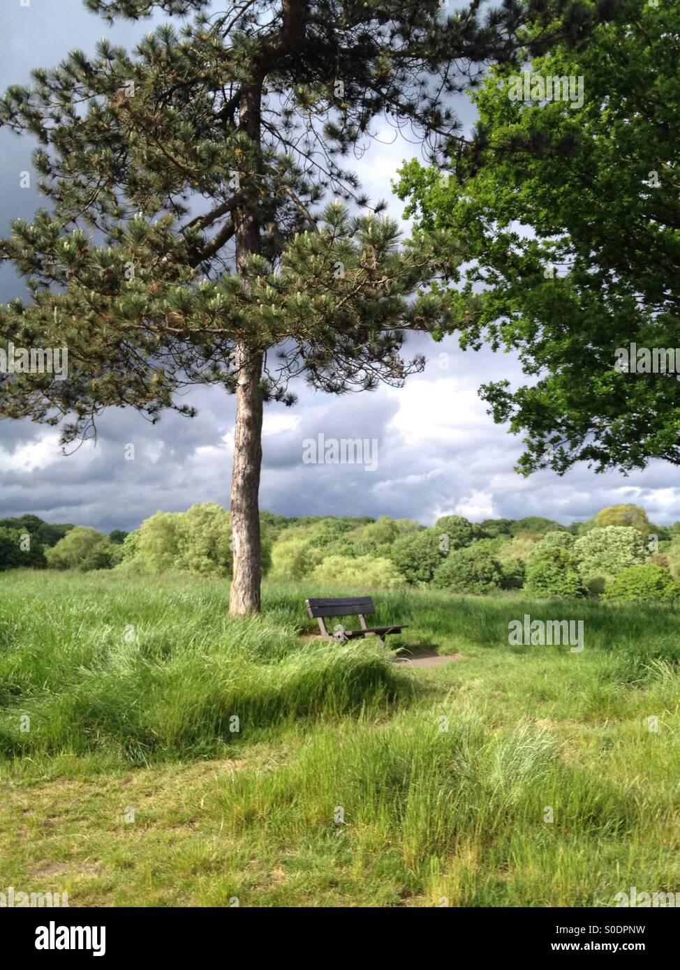 Empty green bench hi-res stock photography and images - Alamy