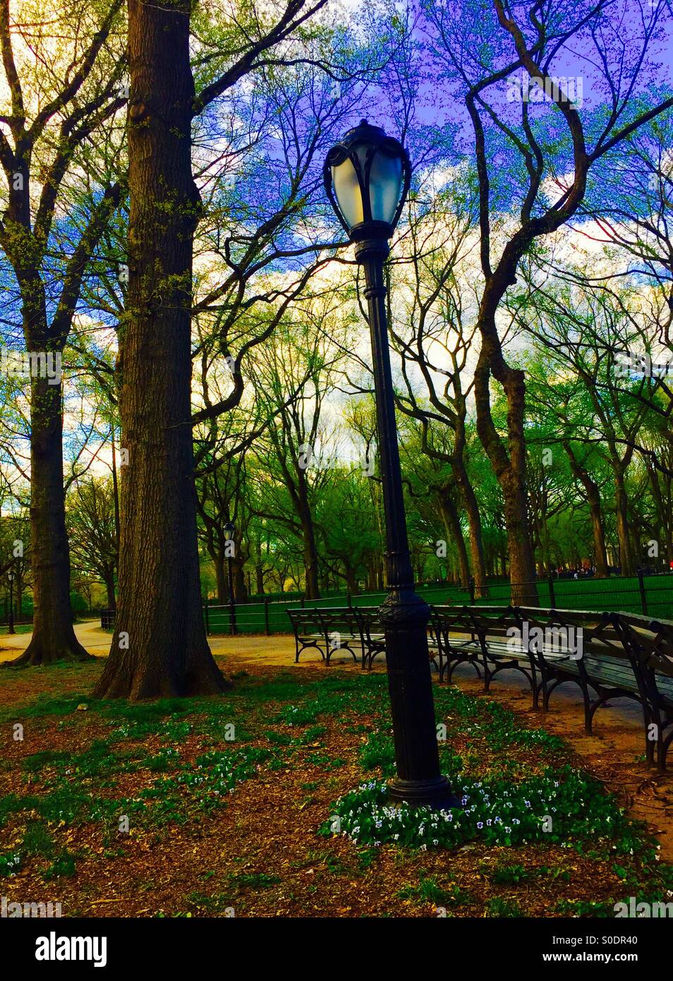 Central Park Evening Stock Photo - Alamy