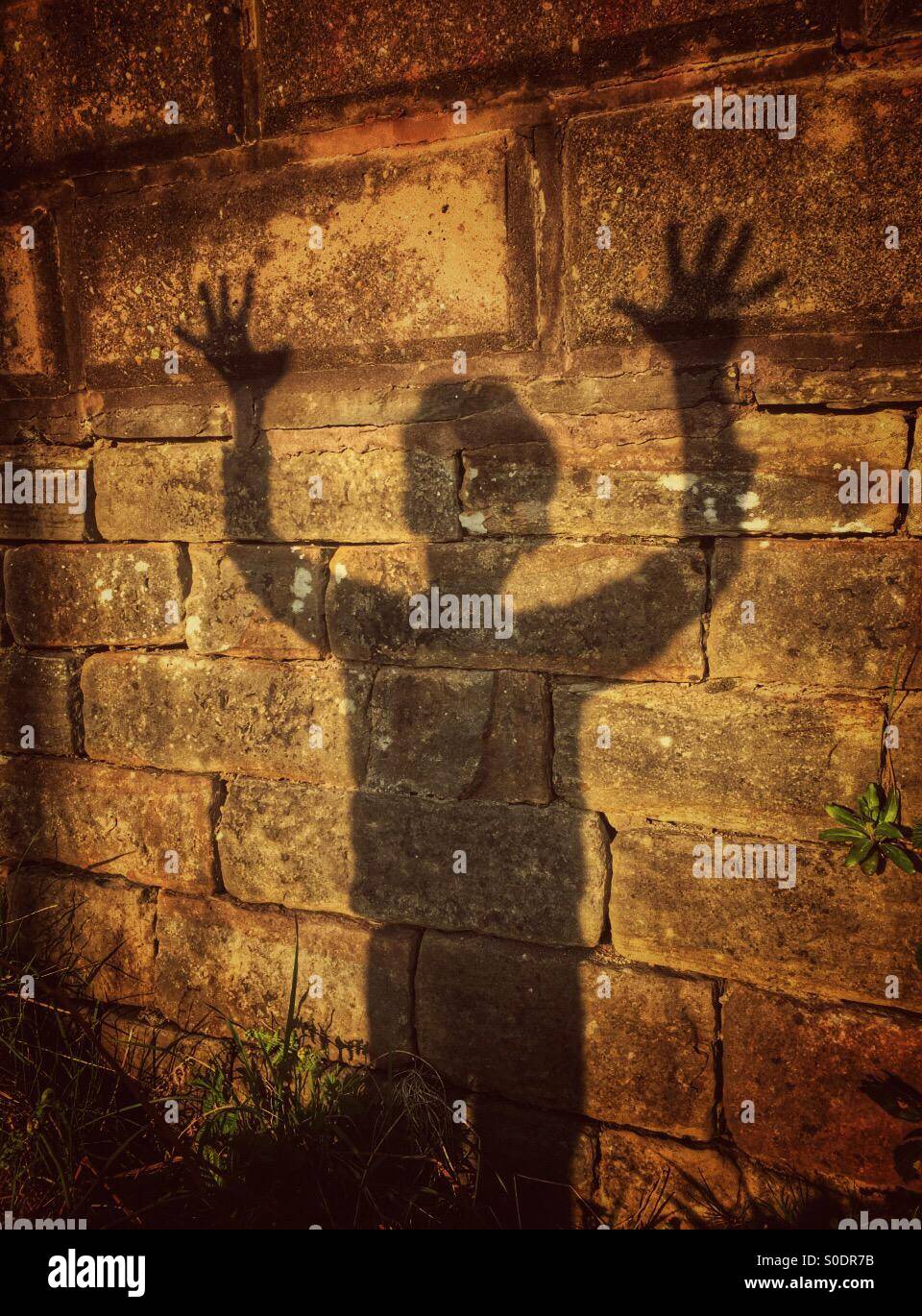Shadow of a little boy raising arms Stock Photo - Alamy