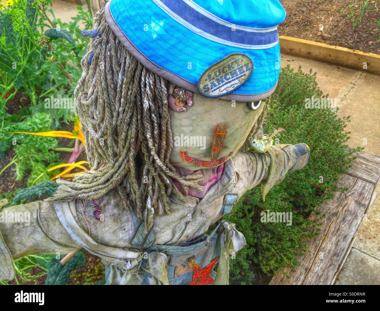 Scarcrow hi-res stock photography and images - Alamy