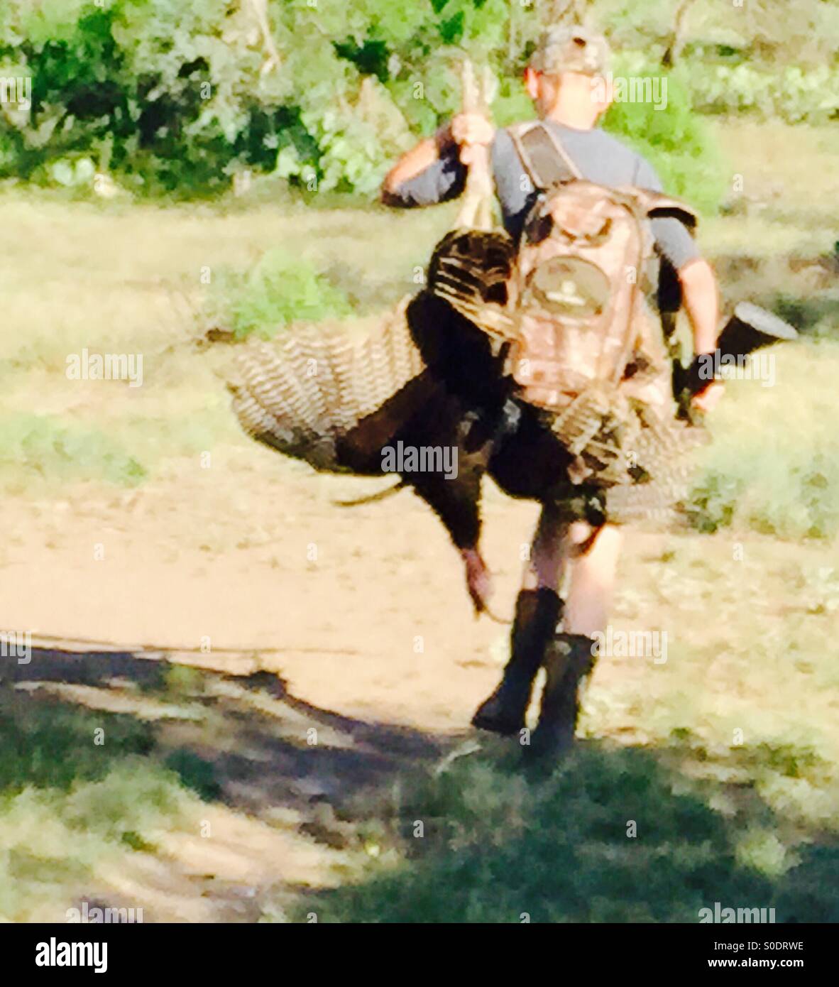 Turkey hunter hi-res stock photography and images - Alamy
