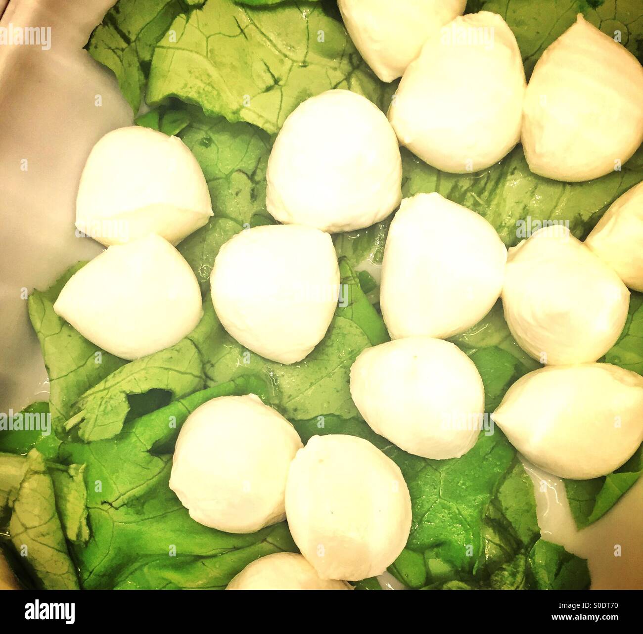 Mozzarella di bufala cheese Stock Photo - Alamy