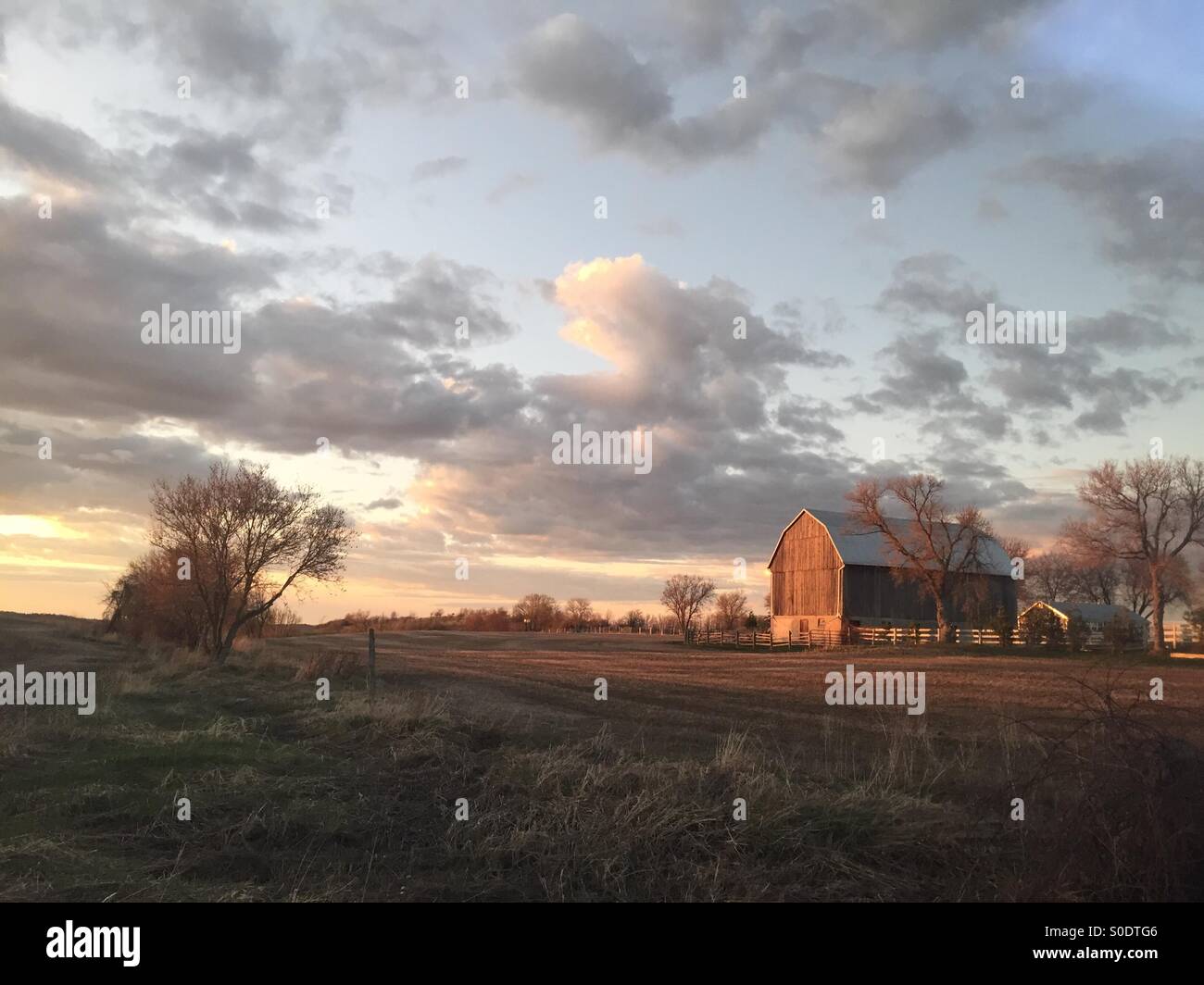 Peterborough Sunset High Resolution Stock Photography and Images - Alamy
