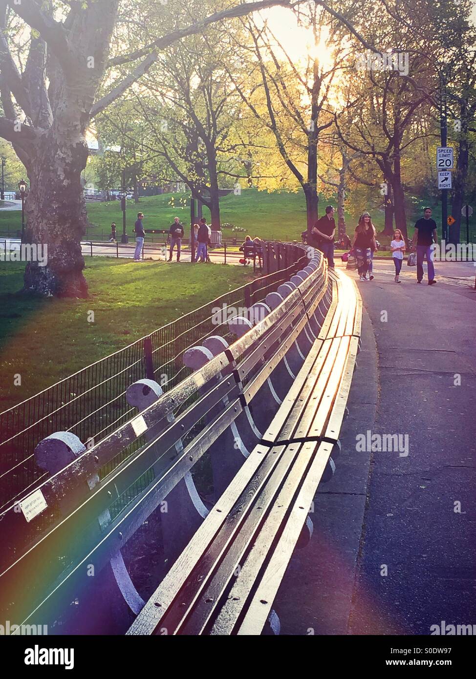 Sunset Reflections light up a park bench in Central Park,NYC Stock ...