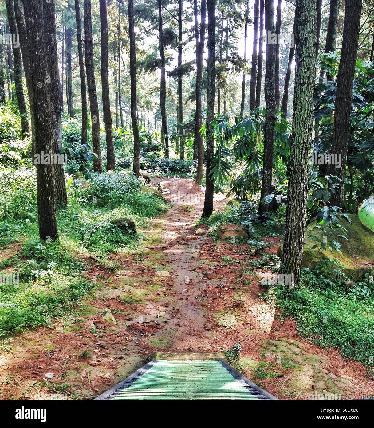 in the middle of no where Stock Photo - Alamy