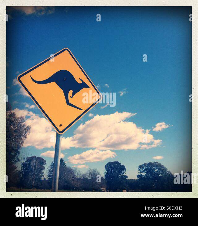 Kangaroo crossing - Australian Road Sign Stock Photo - Alamy