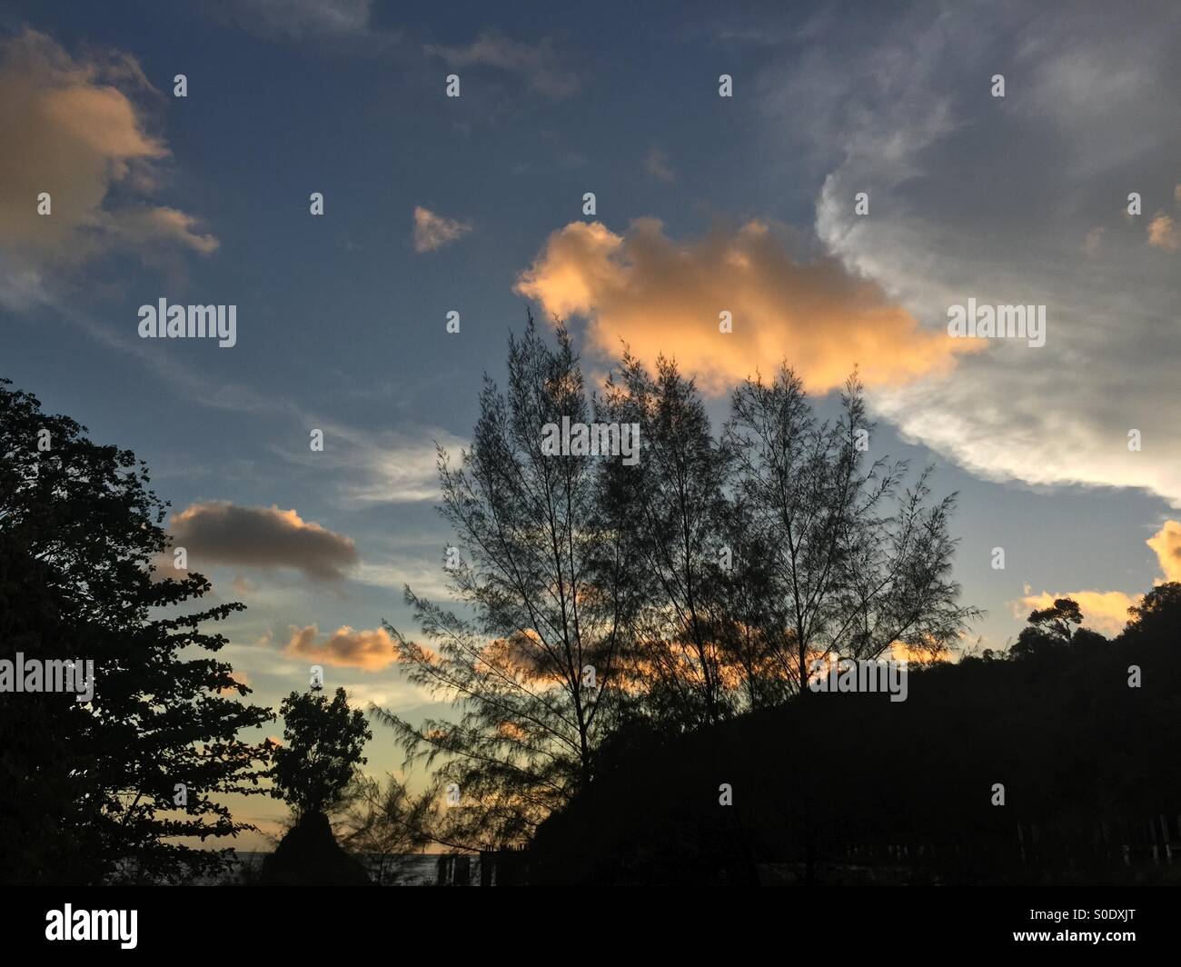 Trees, mountain and clouds Stock Photo - Alamy