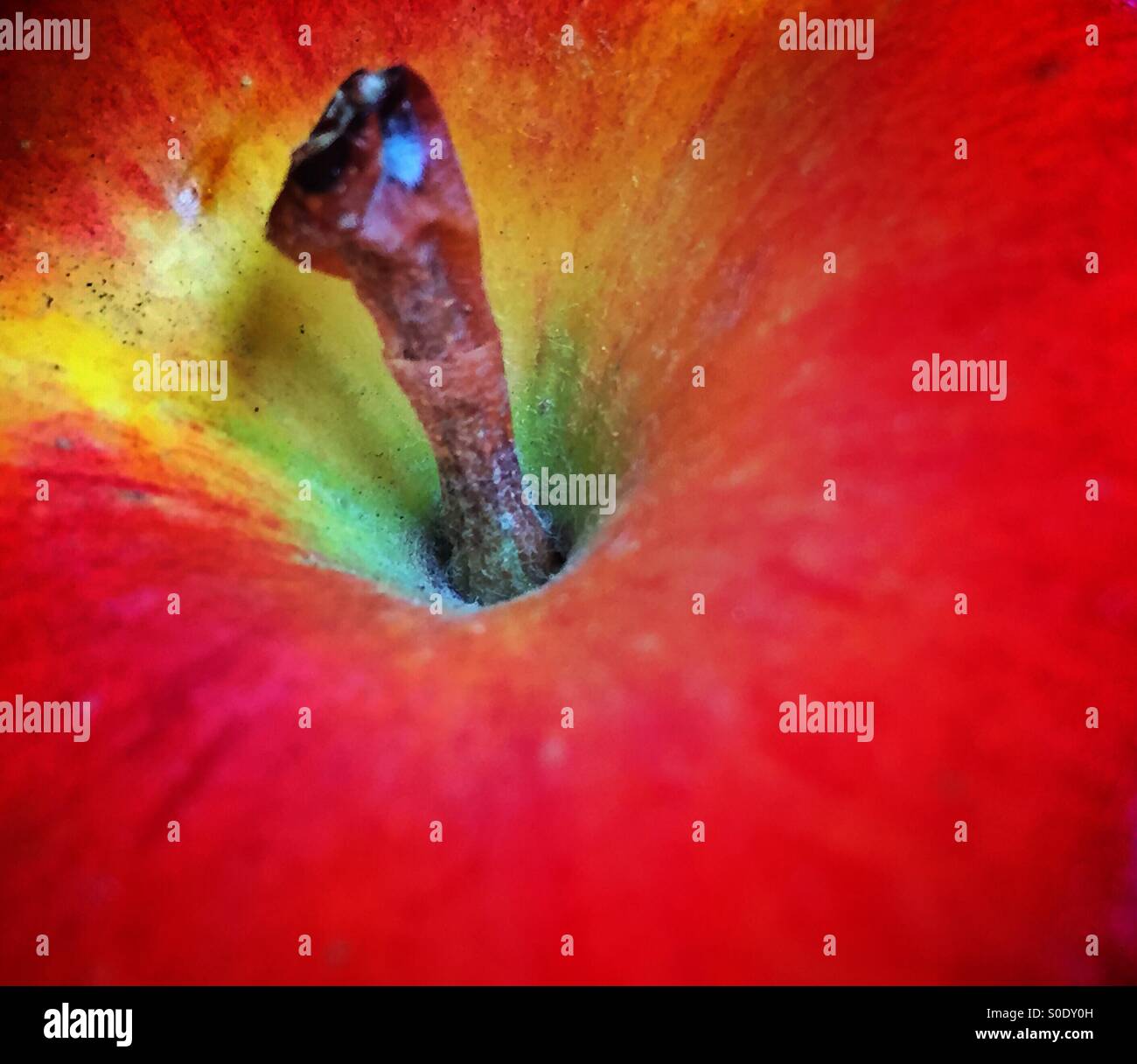 Apple stalk hi-res stock photography and images - Alamy