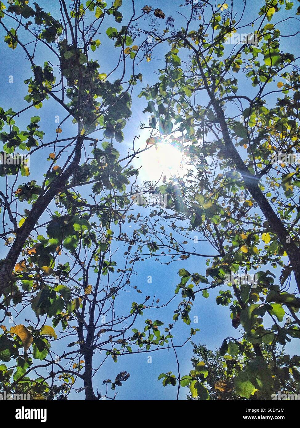 under the sunshine Stock Photo - Alamy