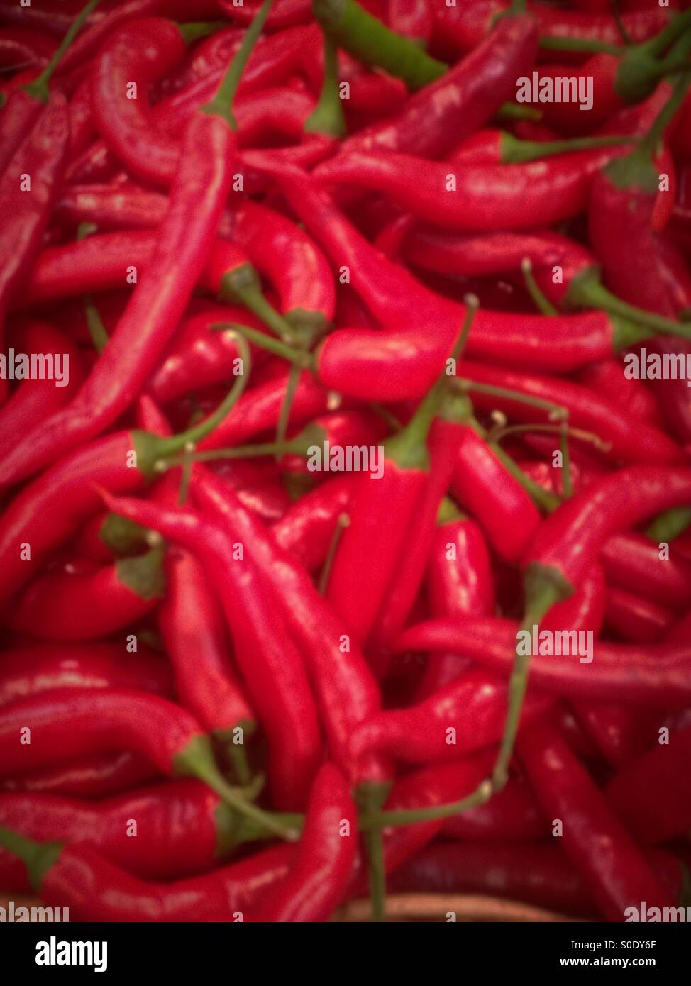 Red chille hi-res stock photography and images - Alamy