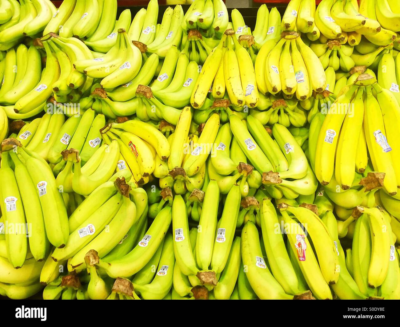 Bundle of bananas hi-res stock photography and images - Alamy