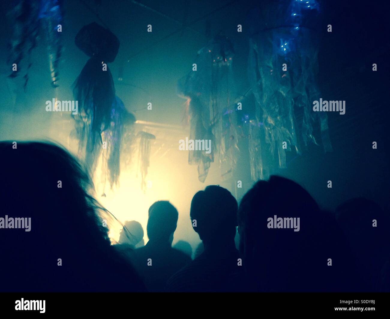 Shadow of jellyfish hi-res stock photography and images - Alamy