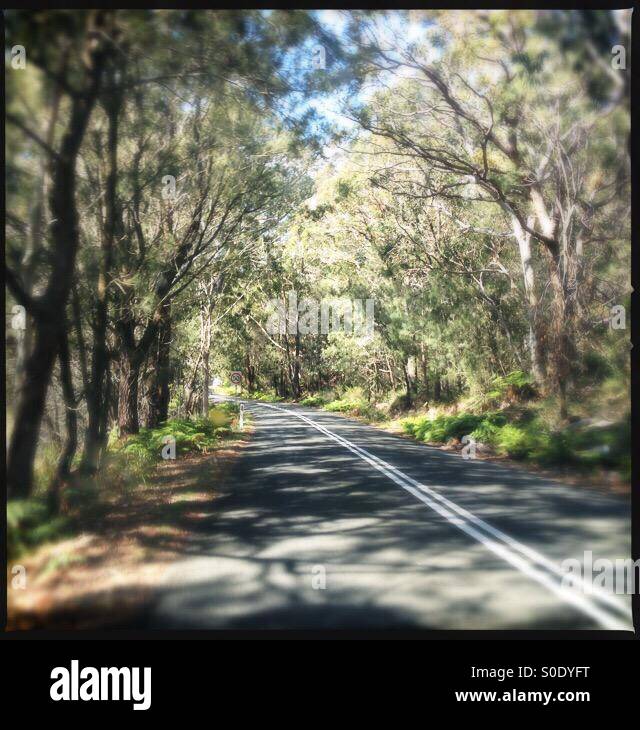 Scrub bushland hi-res stock photography and images - Alamy