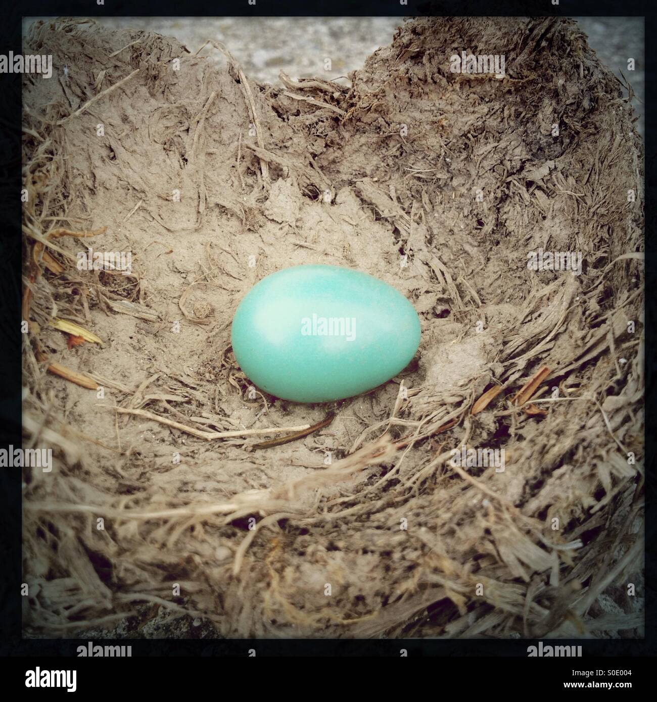 Robin's egg blue hi-res stock photography and images - Alamy