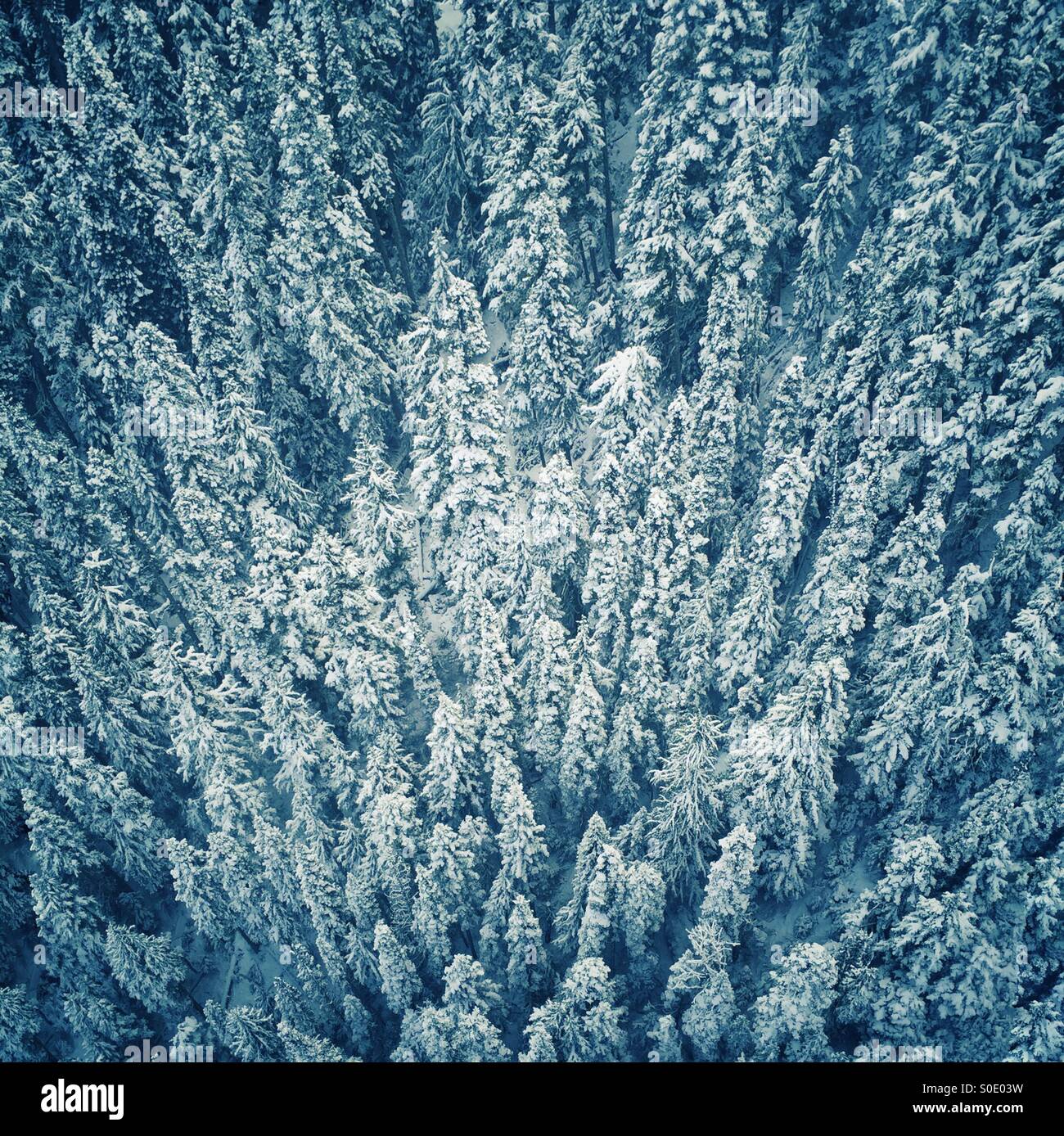 Aerial trees snow hi-res stock photography and images - Alamy