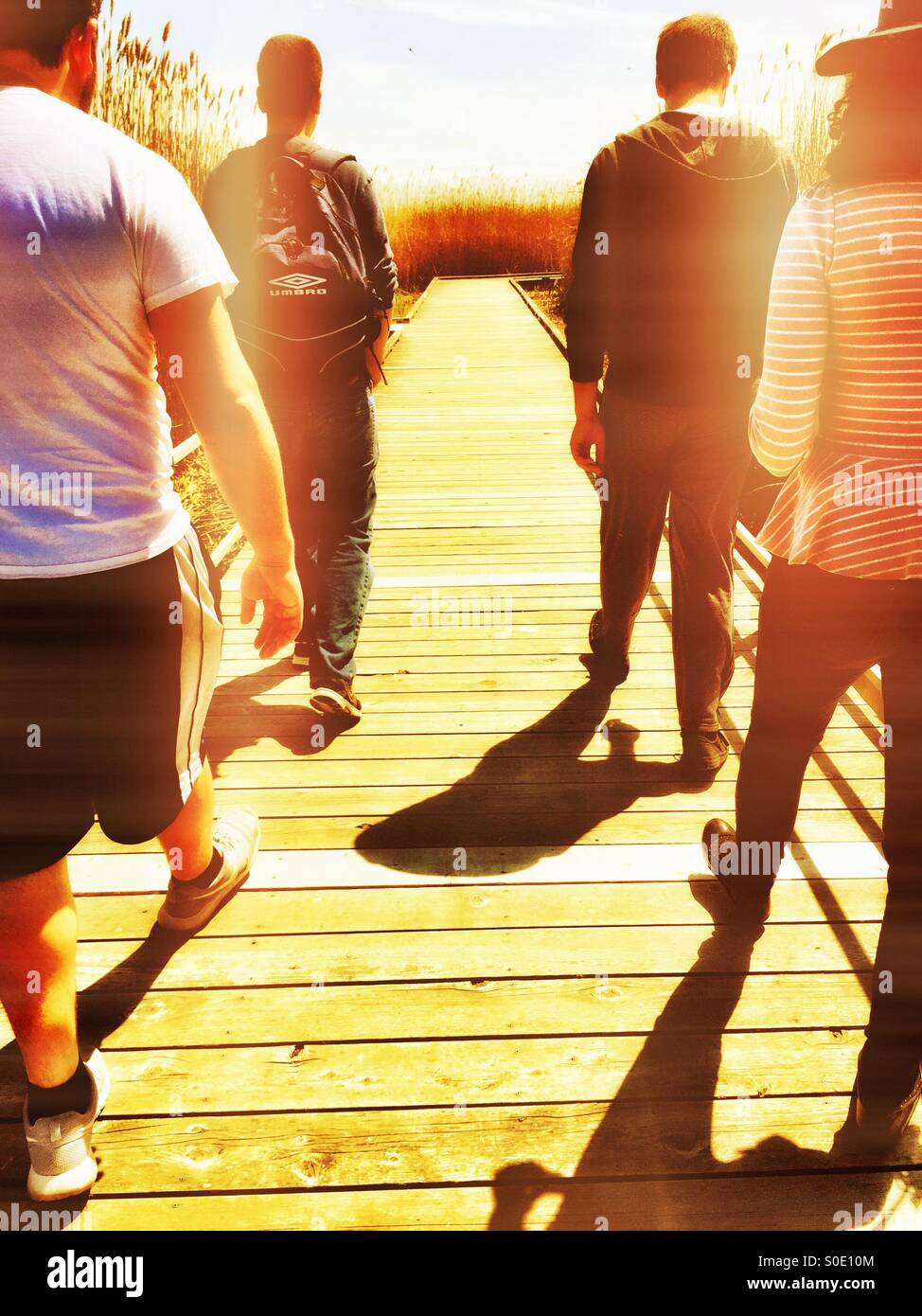 Fieldtrip hi-res stock photography and images - Alamy