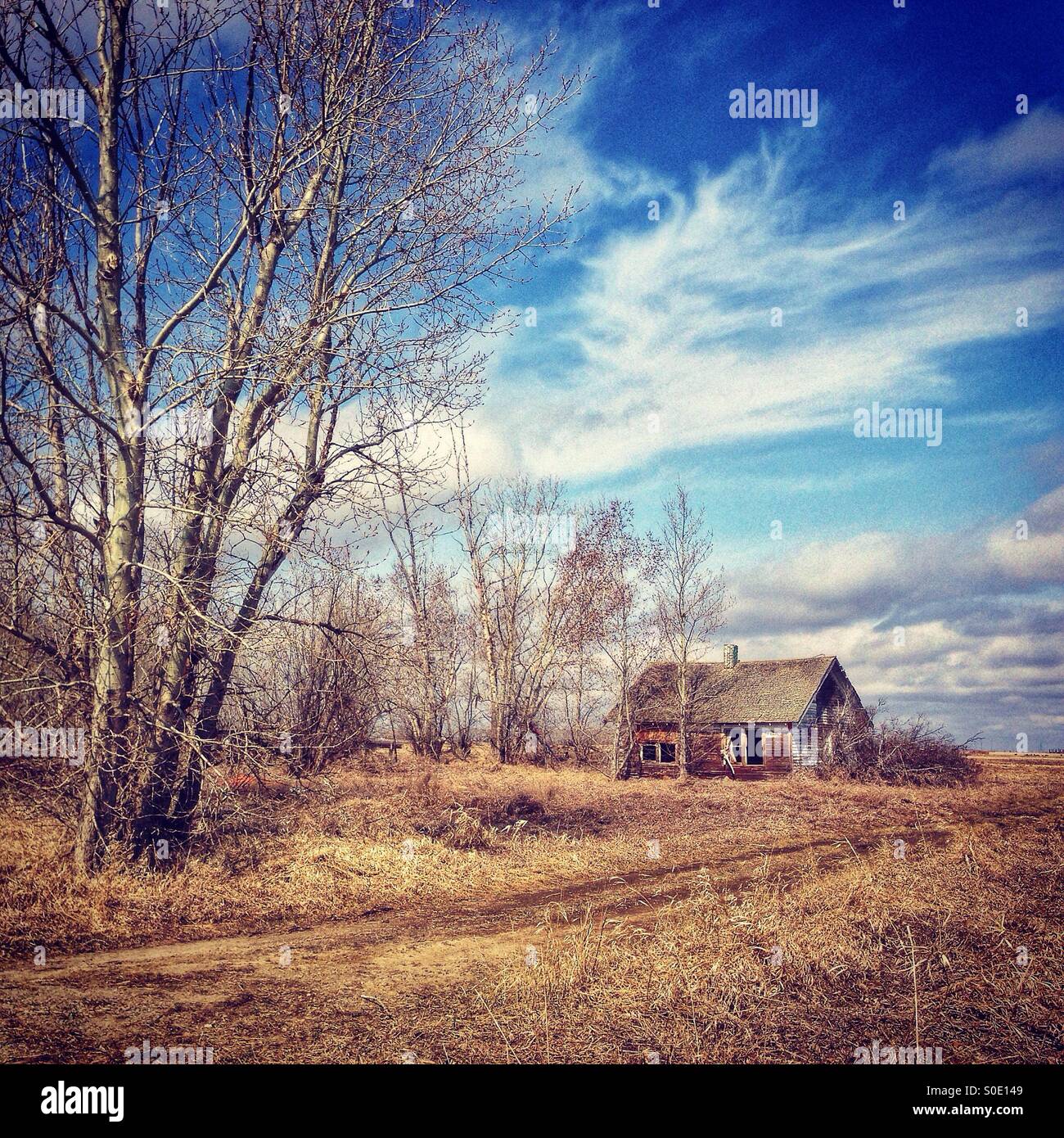 Abandoned homestead in alberta hi-res stock photography and images - Alamy