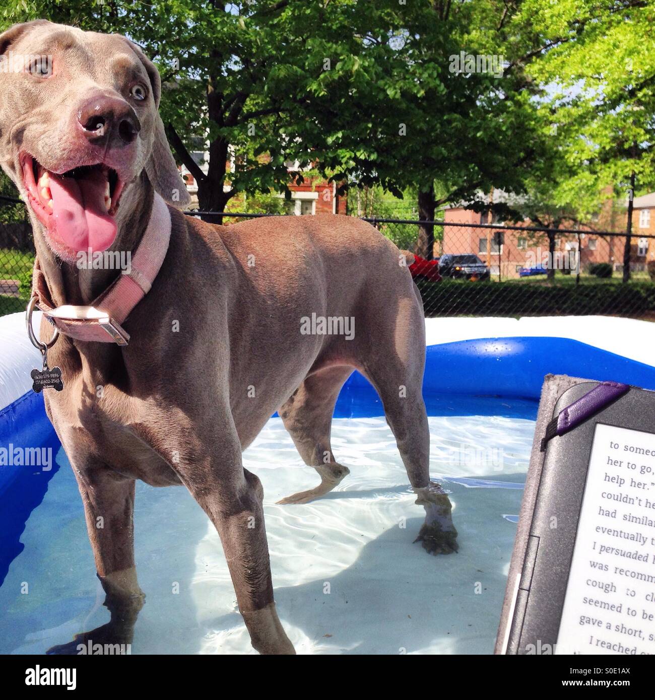 Reading ereader hi-res stock photography and images - Alamy