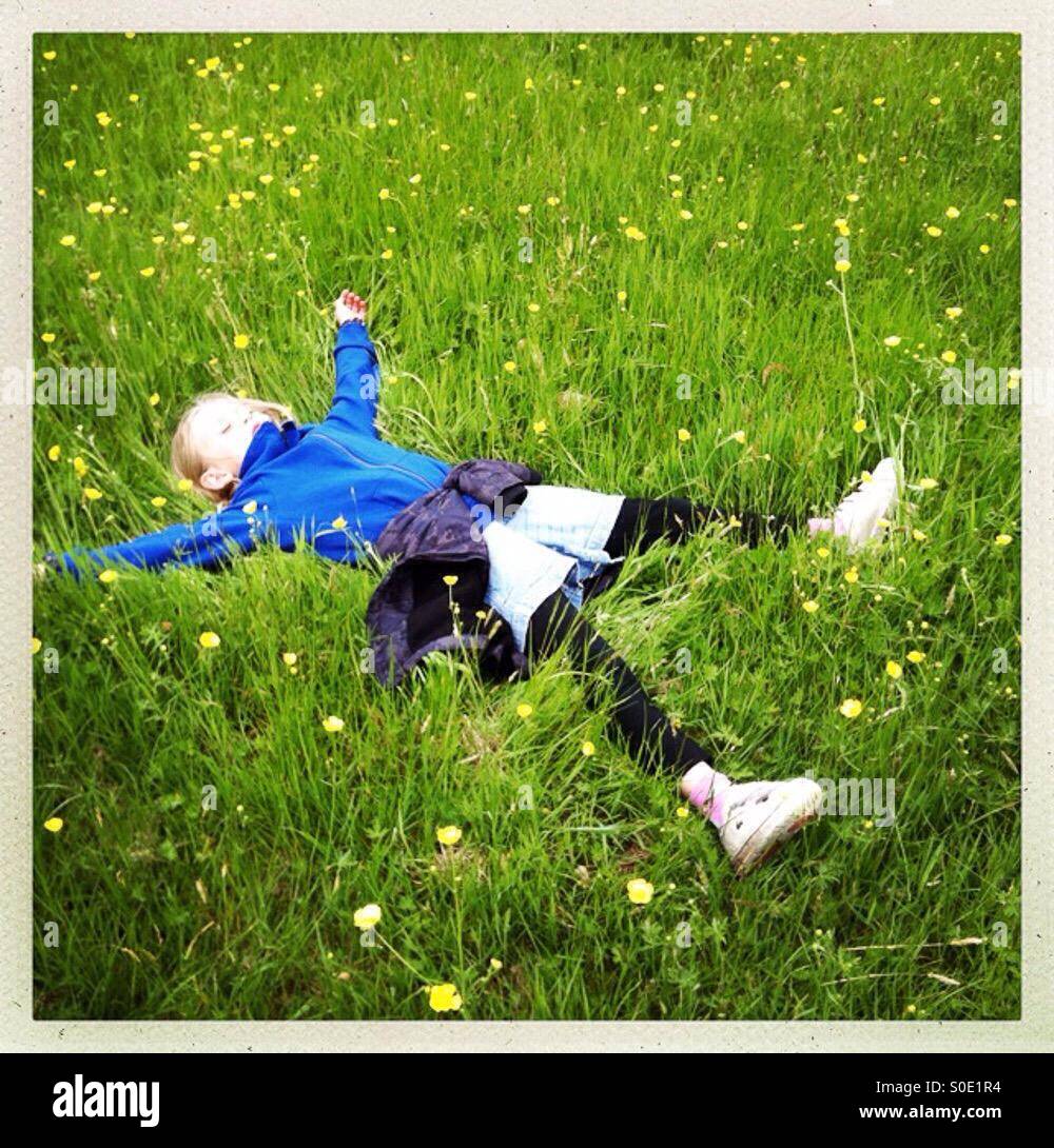 Star Grass Shape High Resolution Stock Photography and Images - Alamy