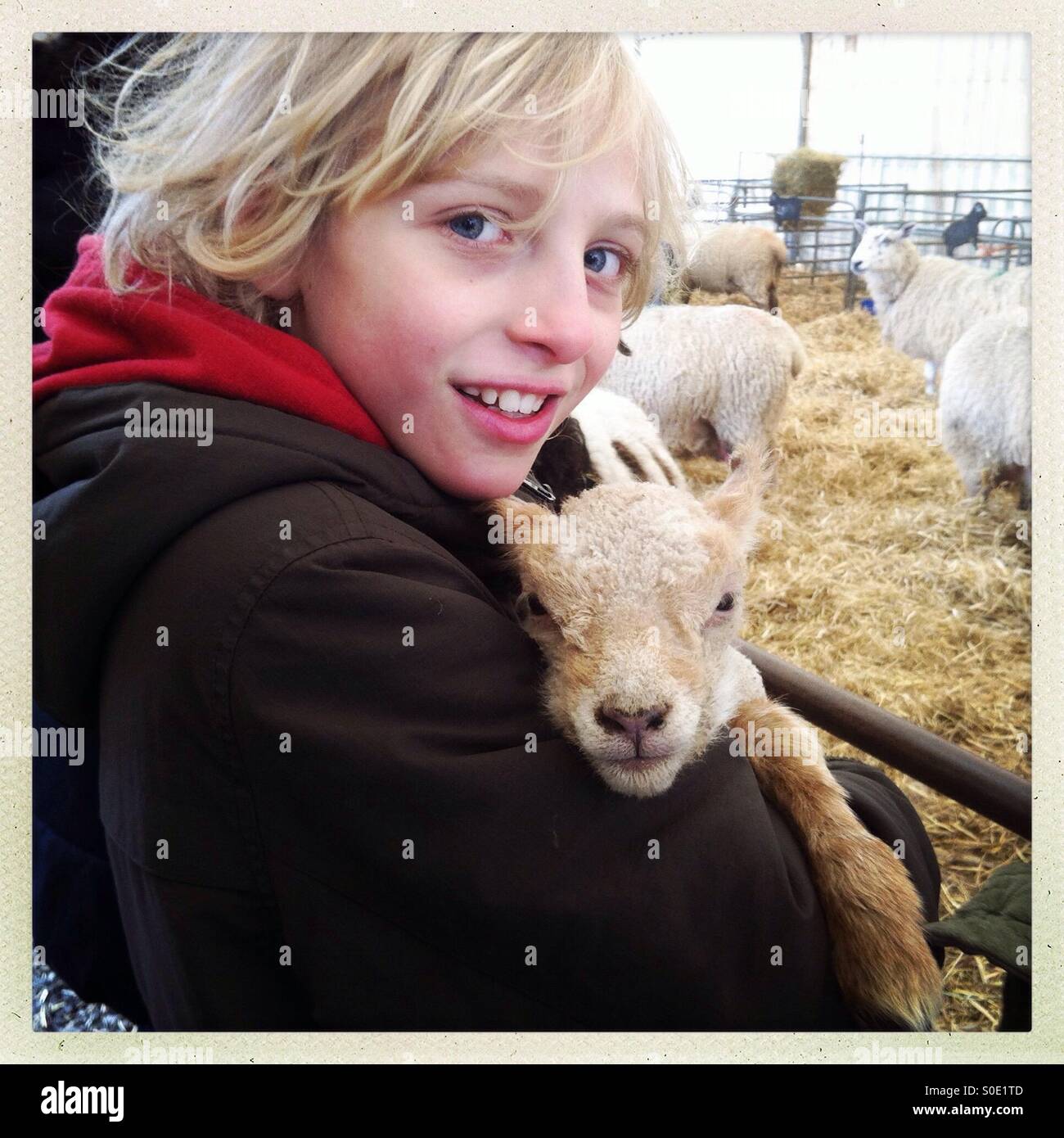 Boy with lamb hi-res stock photography and images - Alamy