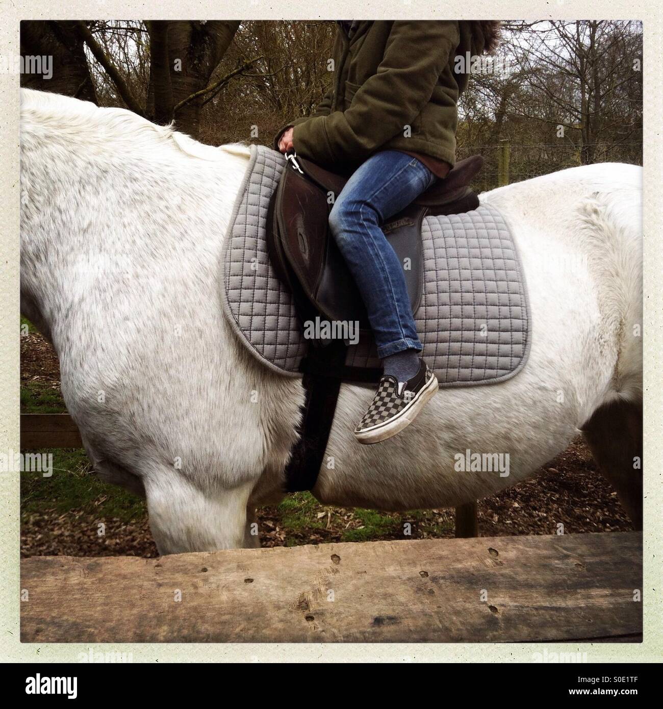 Saddle pony hi-res stock photography and images - Alamy