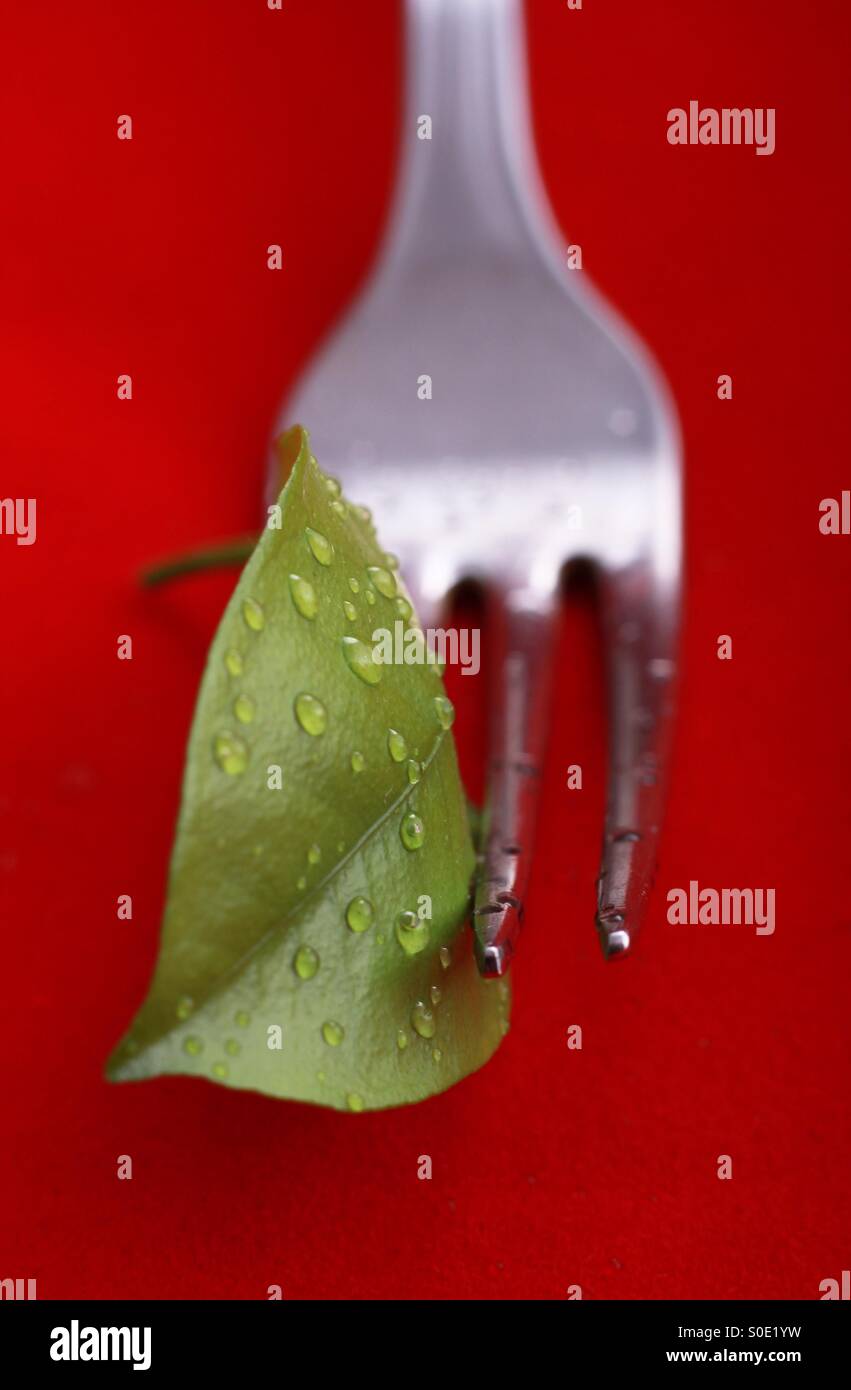Fork and leaf hi-res stock photography and images - Alamy