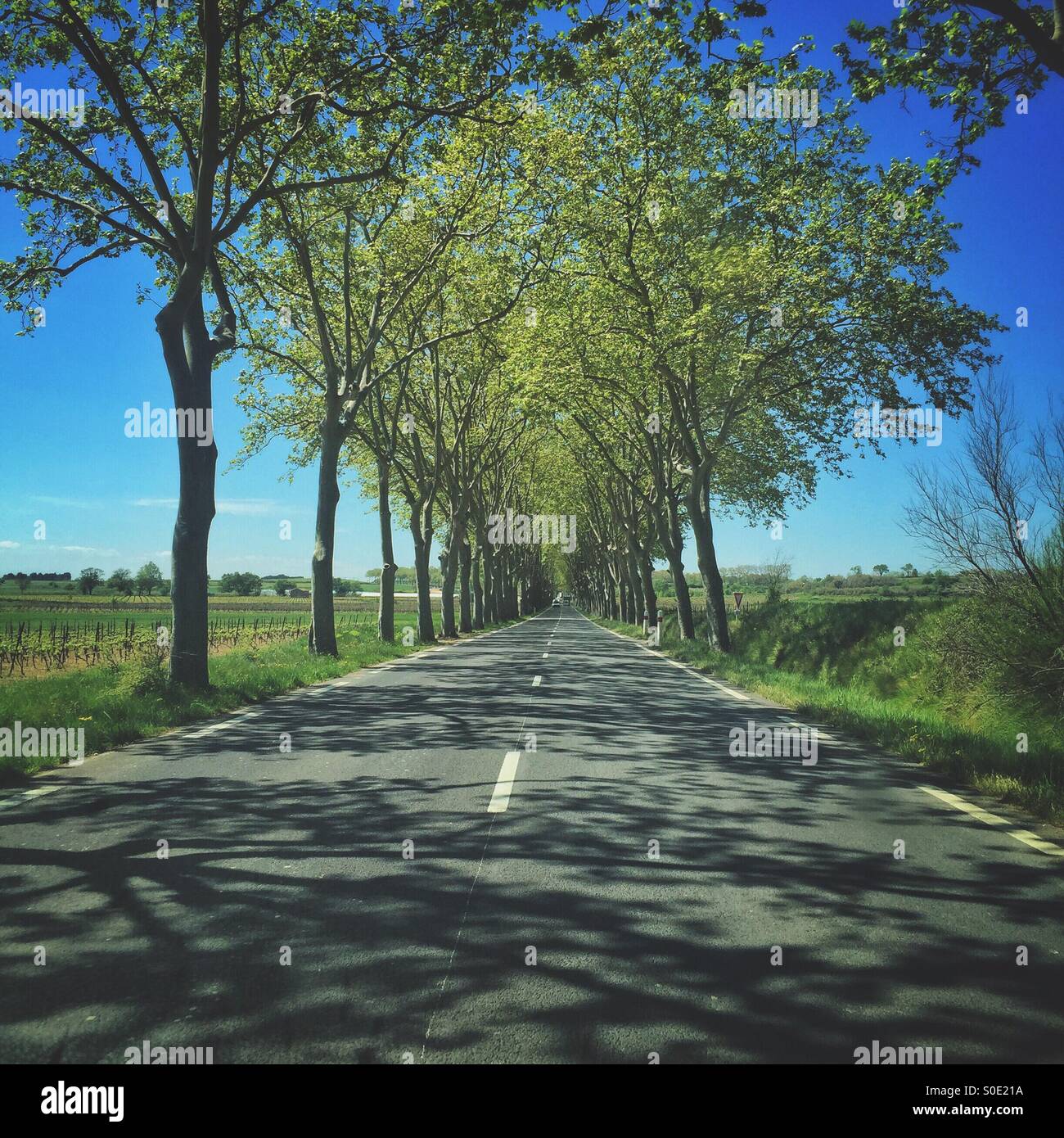 The sunny route hi-res stock photography and images - Alamy
