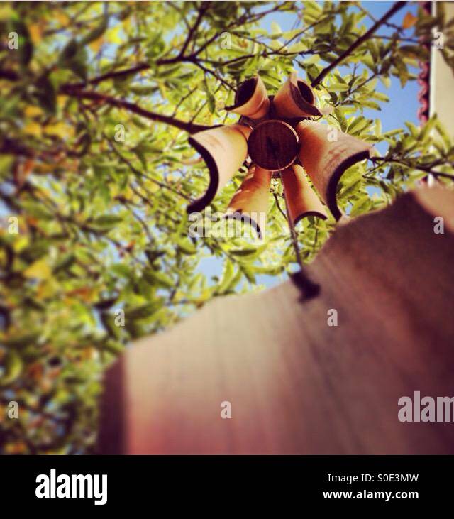 Wind chimes is a tree hi-res stock photography and images - Alamy