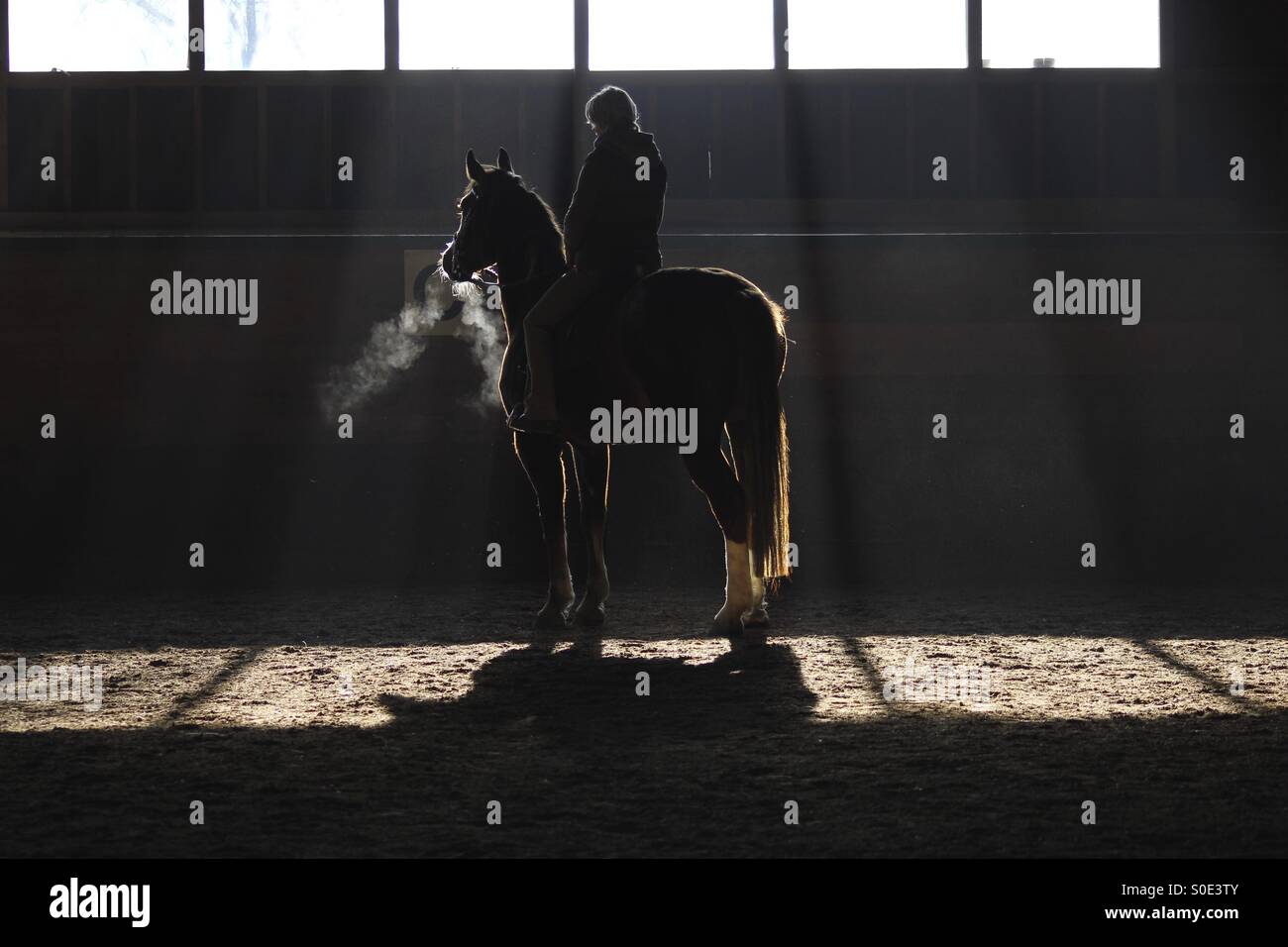 Snorting horse hi-res stock photography and images - Alamy