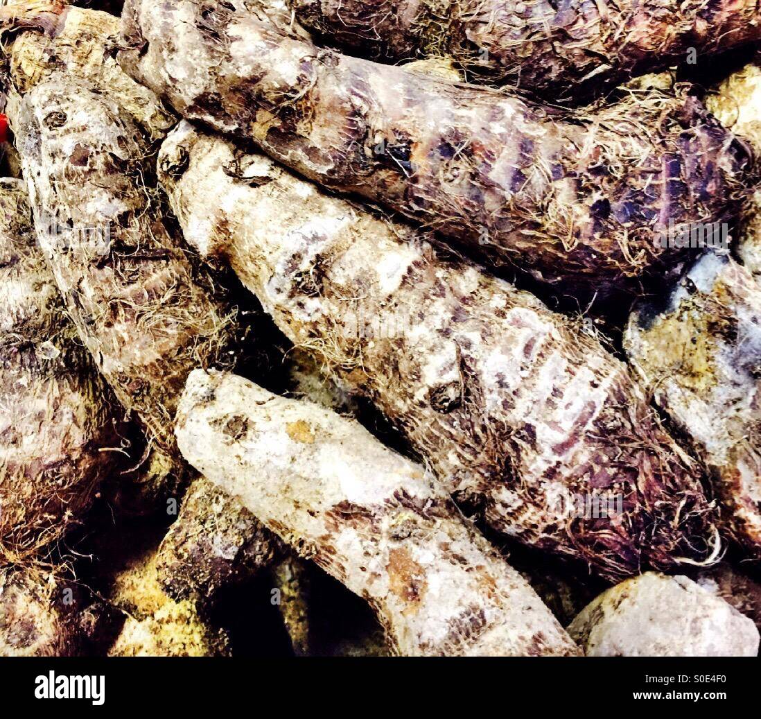 Malanga hi-res stock photography and images - Alamy