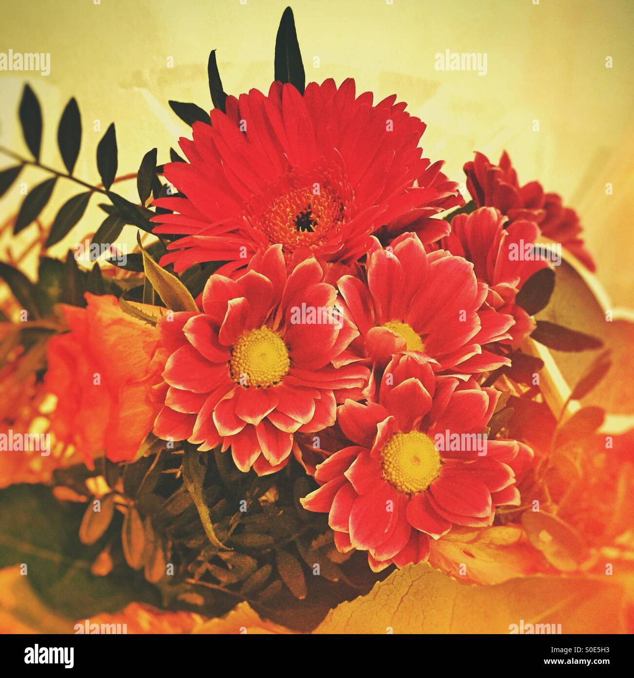 Kalo frida hi-res stock photography and images - Alamy