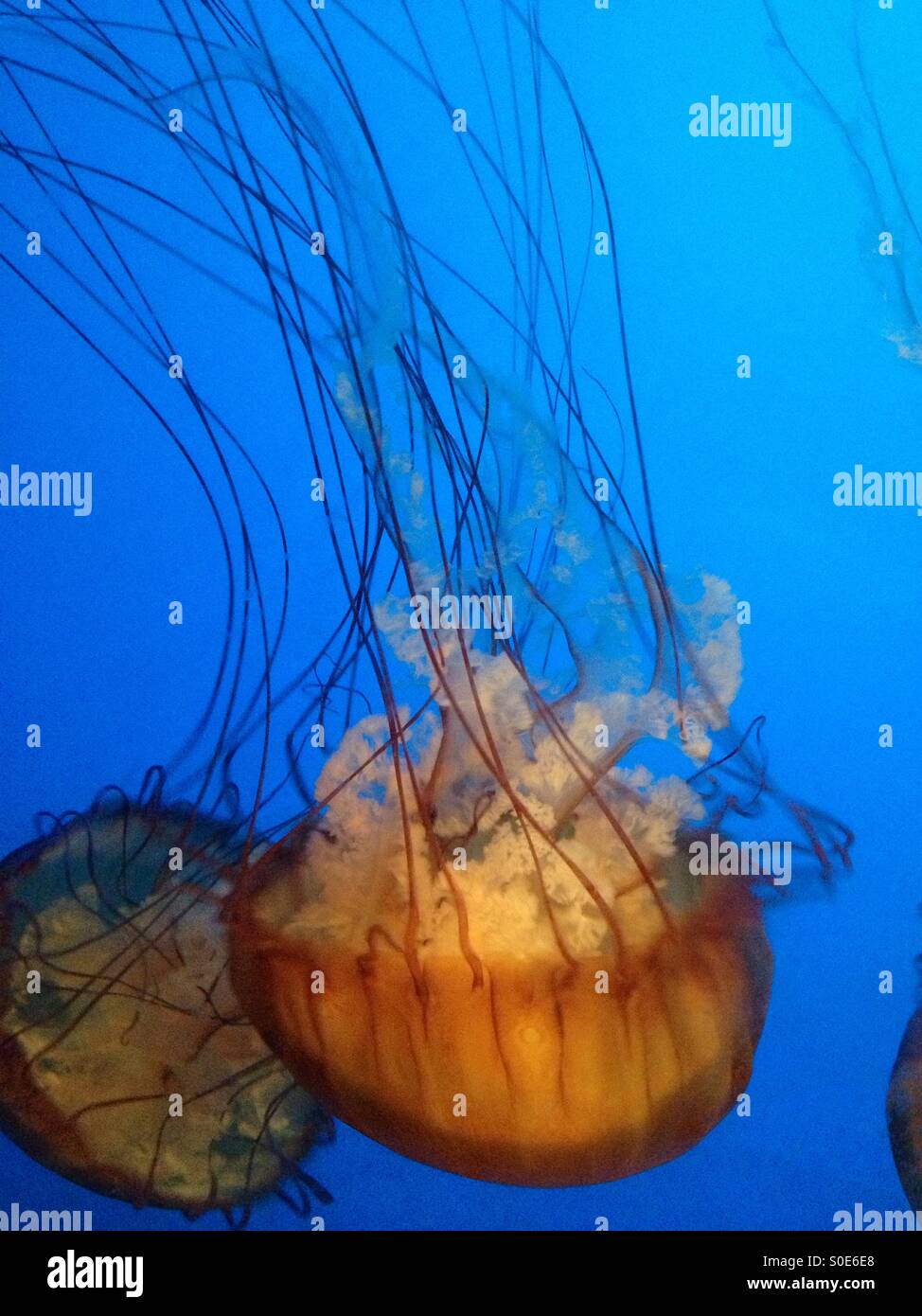 Ocean contrast hi-res stock photography and images - Alamy