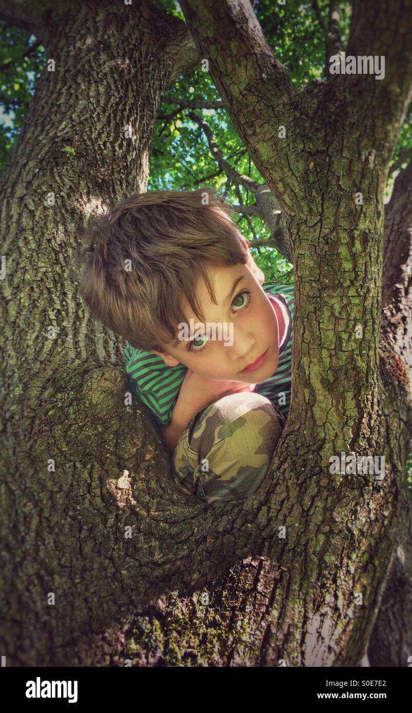 Young boy looking out from the branches of a tree while climbing it ...