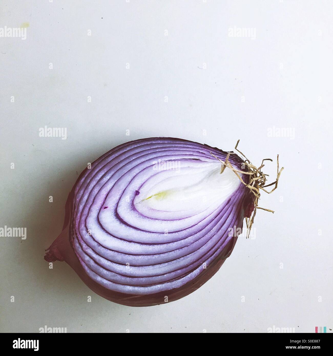 Layers of the skin hi-res stock photography and images - Alamy