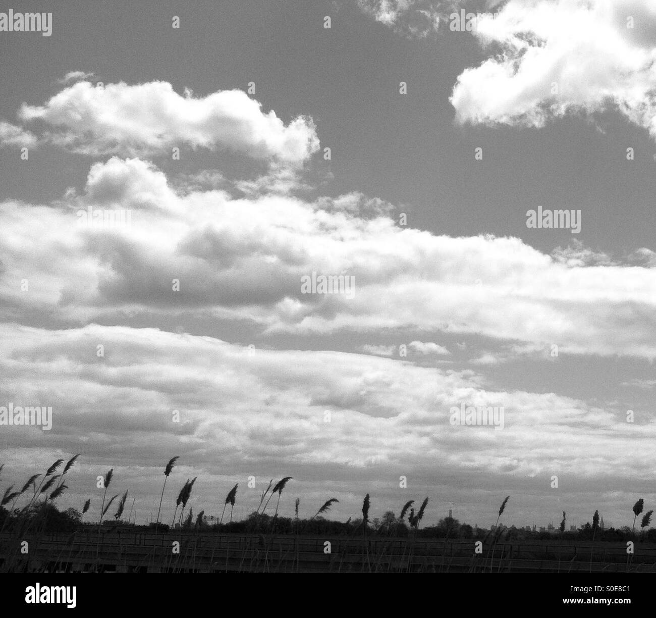 Nj breeze hi-res stock photography and images - Alamy