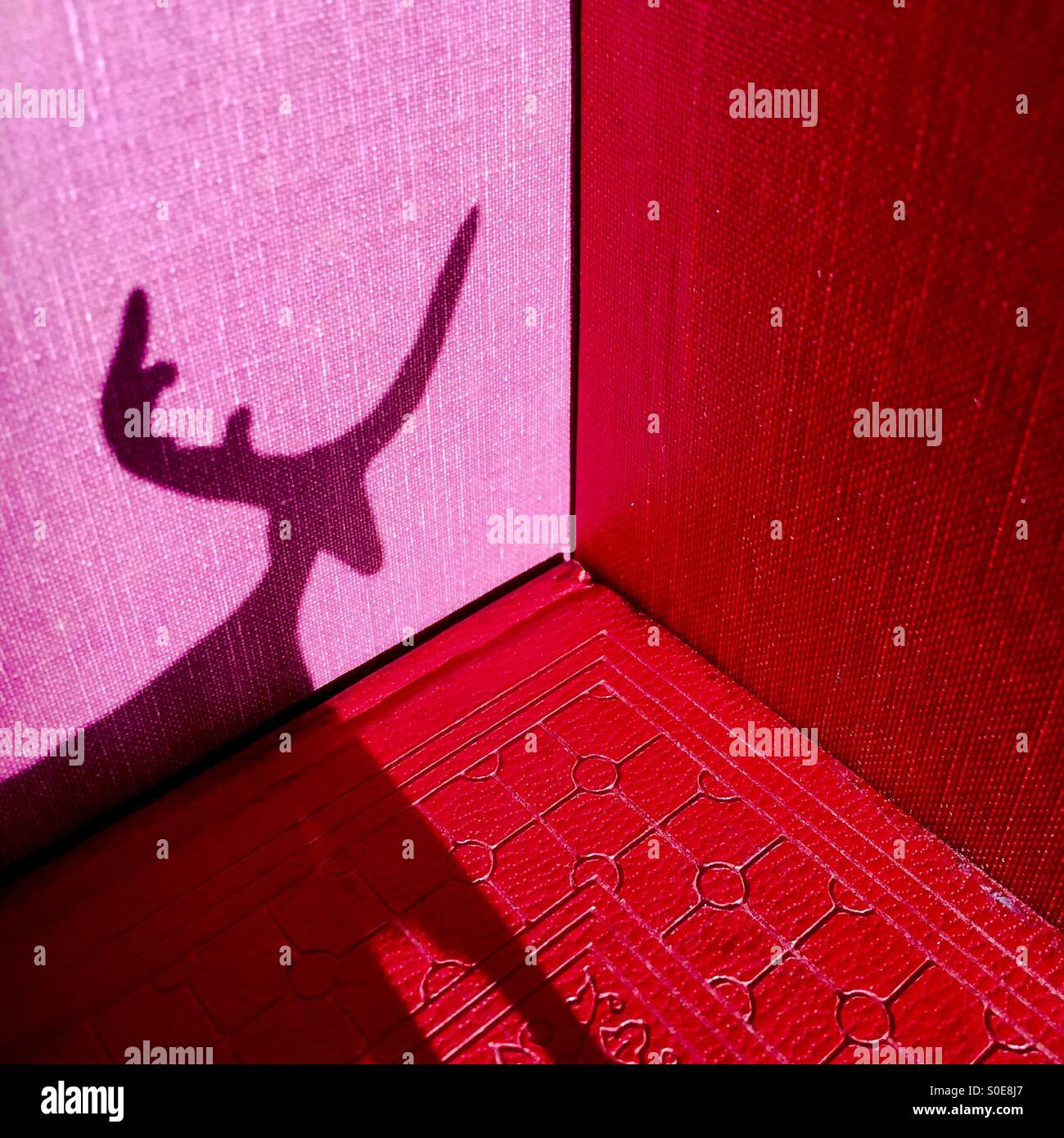 Shadow of a moose against pink and red background Stock Photo - Alamy