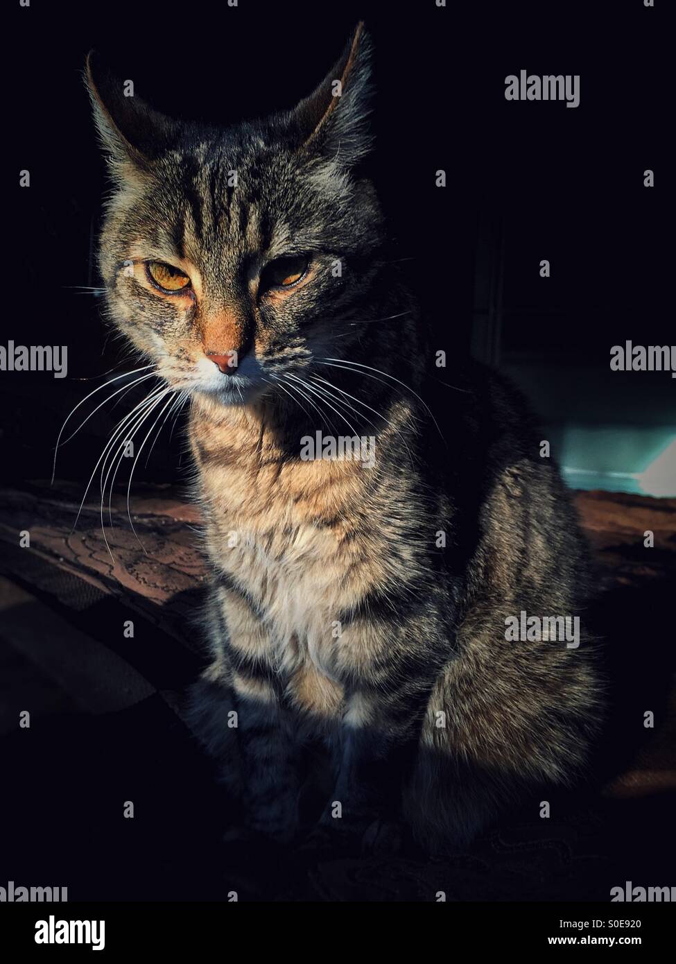 Grumpy morning hi-res stock photography and images - Alamy